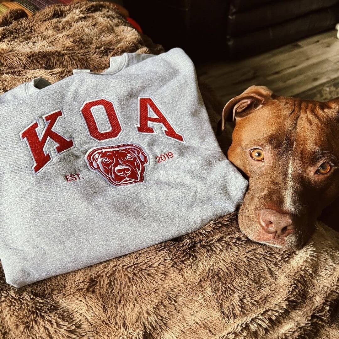 Unique Paws - Creating Memories for Fun Pet Owners.