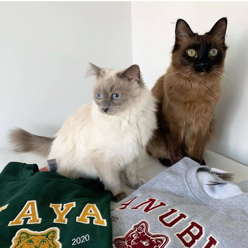 Custom Pet Varsity Style Sweater (Large Embroidery) – Unique Paws